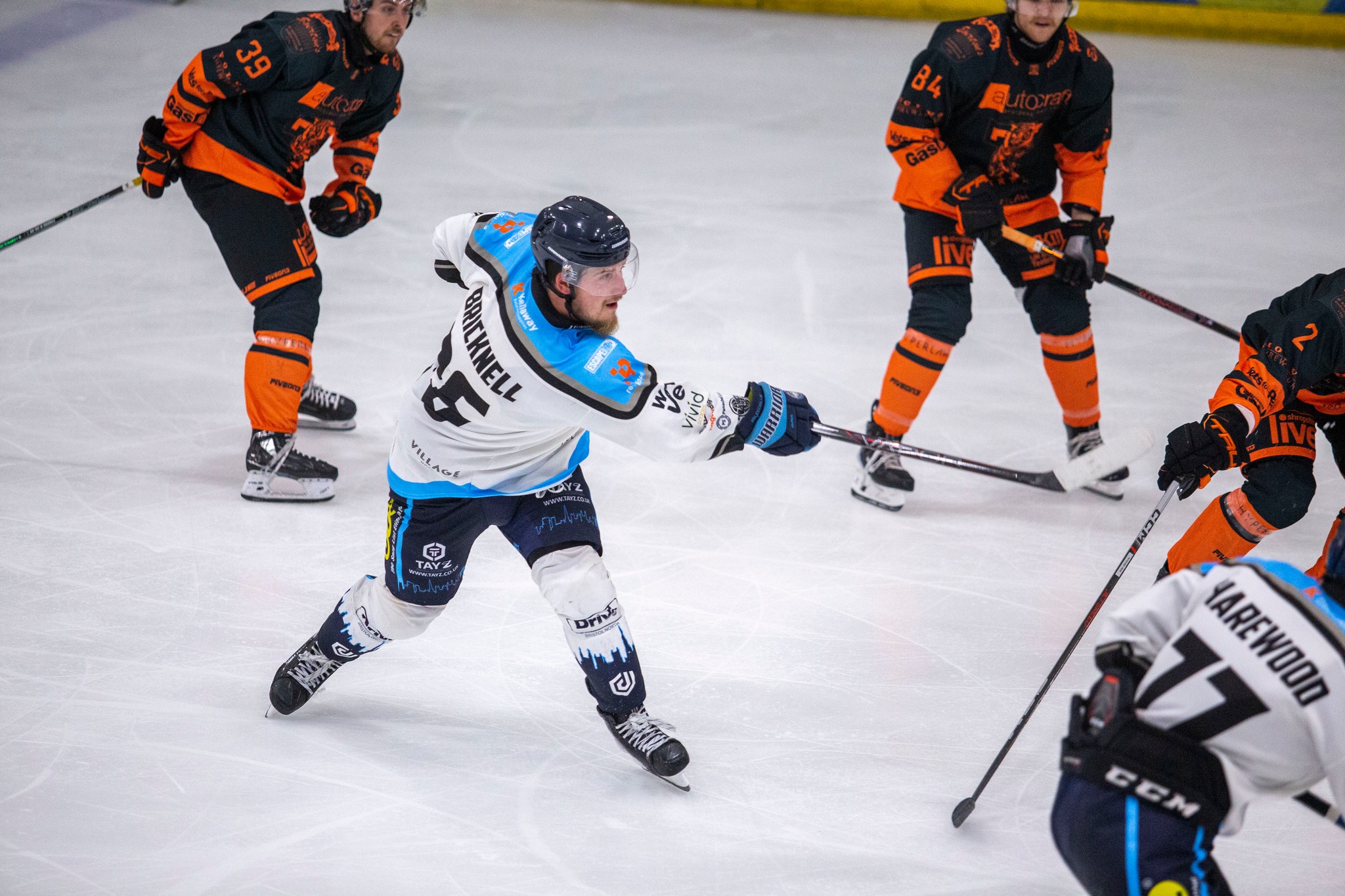 Weekend Preview : Sheffield Steeldogs and Telford Tigers | Bristol Pitbulls